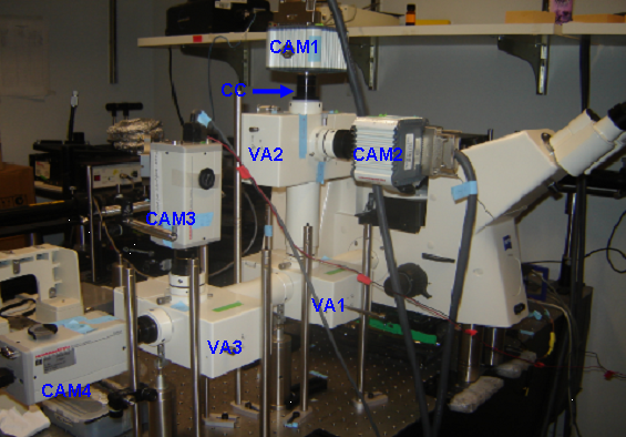 Multi-Focal Plane Microscopy – WardOber Lab
