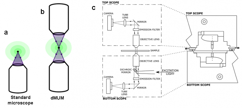 Multi-Focal Plane Microscopy – WardOber Lab